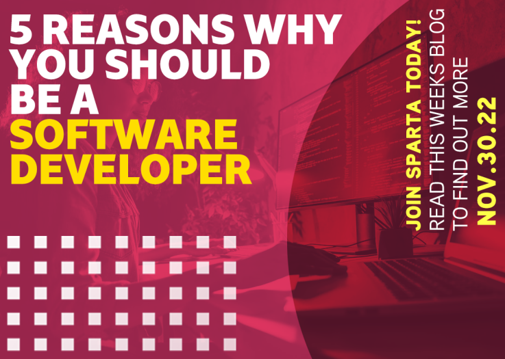5 Reasons To Be a Software Developer